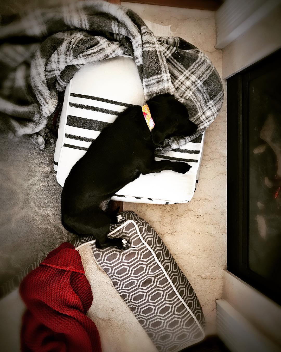 Hearth & Hand™ With Magnolia : Target